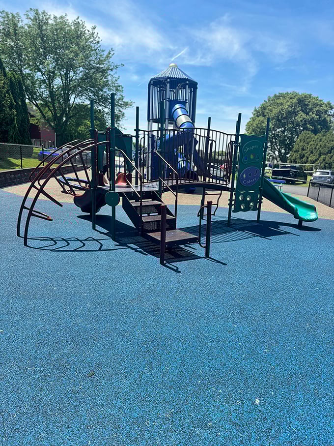 Childhood joy requires no smartphone—this playground's classic slides and climbing structures have launched more giggles and scraped knees than any app ever could.