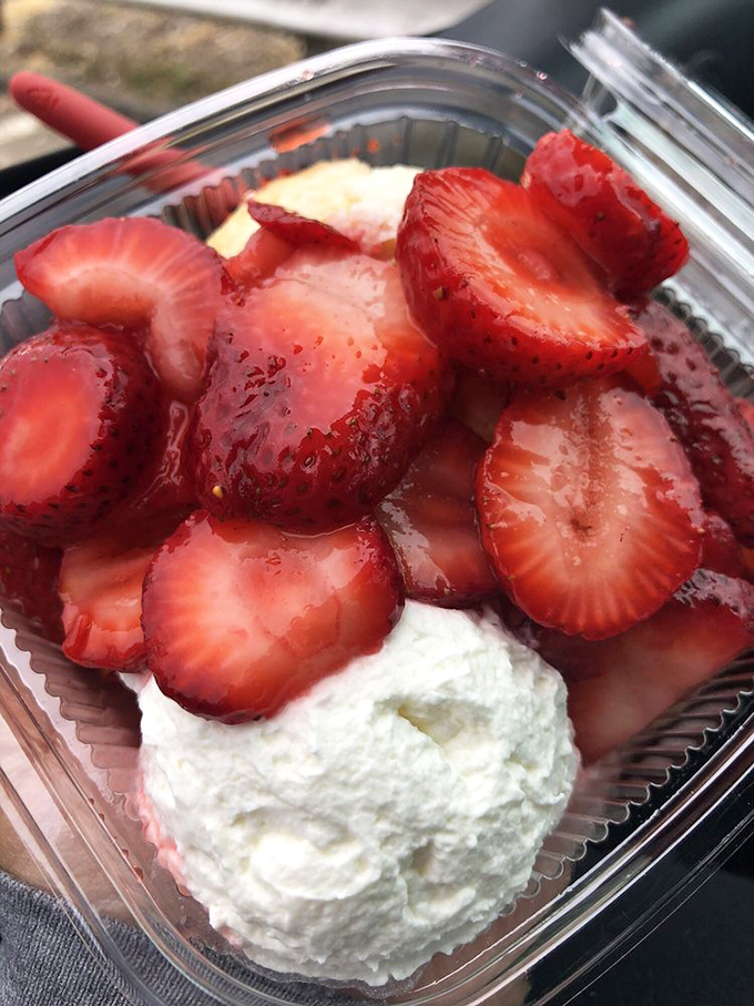 Fresh strawberries nestled against pillowy whipped cream—this shortcake isn't trying to be fancy, it's just trying to be fantastic.