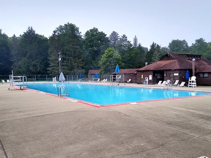 A swimming pool that doesn't require a second mortgage for membership. Just clean, refreshing water surrounded by Pennsylvania's finest greenery.