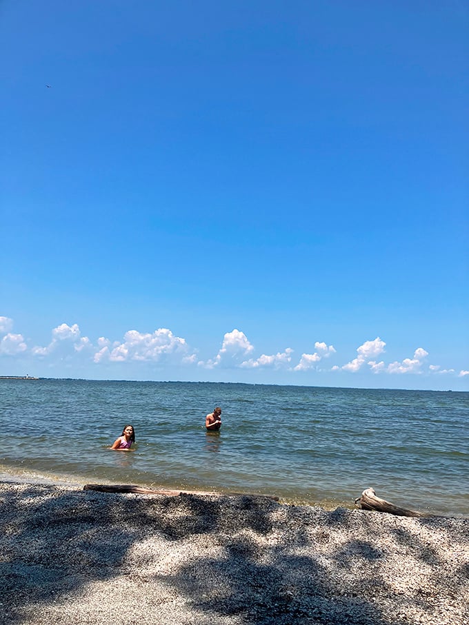 Lake Erie's reputation for swimming has come a long way from "approach with caution" to "dive right in"—these swimmers are living proof that environmental comebacks do happen.