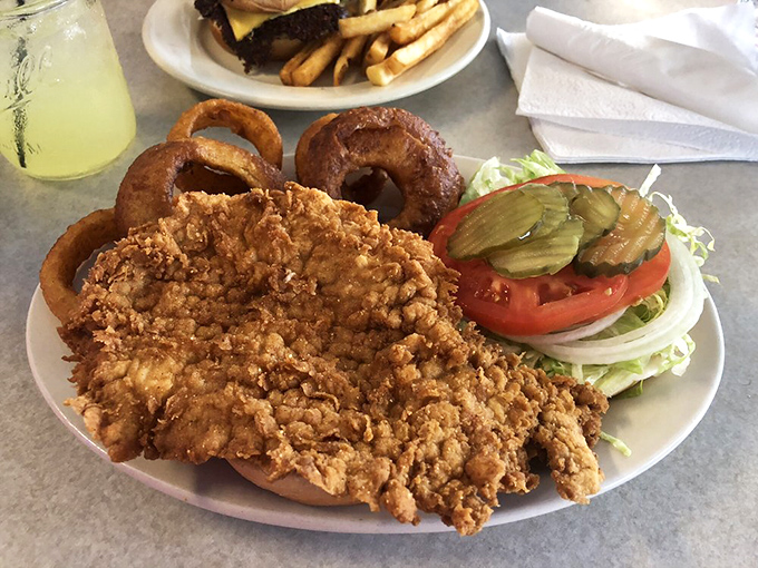 The breaded tenderloin—Indiana's state sandwich in its natural habitat. This magnificent specimen could double as a frisbee in a pinch.