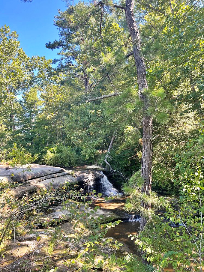 A gentle cascade nestled among towering pines. This hidden waterfall proves that sometimes the best attractions don't need billboards.