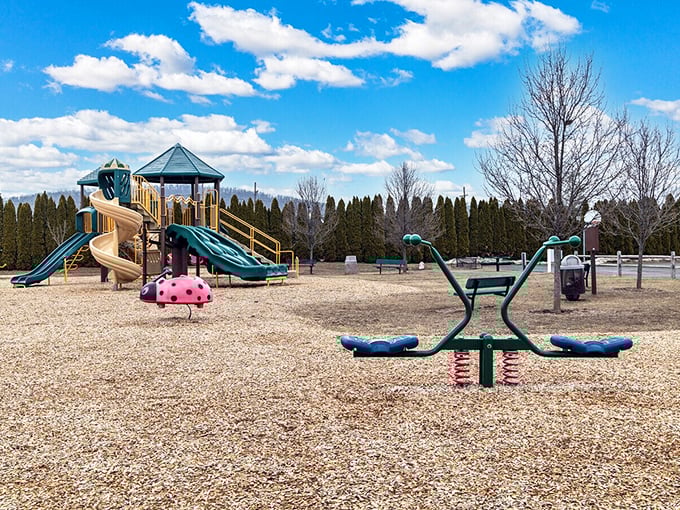 This playground waits patiently for laughter to return – the universal embassy of childhood where diplomatic immunity from adulthood is granted daily.