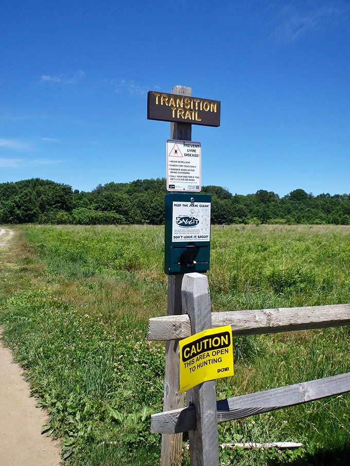 The "Transition Trail" sign might as well say "This Way to Serenity." Just remember the bug spray—nature's enthusiastic welcoming committee awaits.