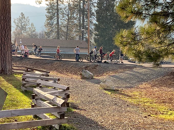 Local cyclists enjoying Trinity County's trails – where outdoor enthusiasts find that perfect combination of exercise and "oh my goodness, look at that view!"