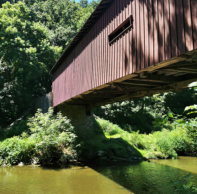 From below, the bridge's impressive engineering reveals itself—a perfect marriage of form and function spanning the tranquil waters.