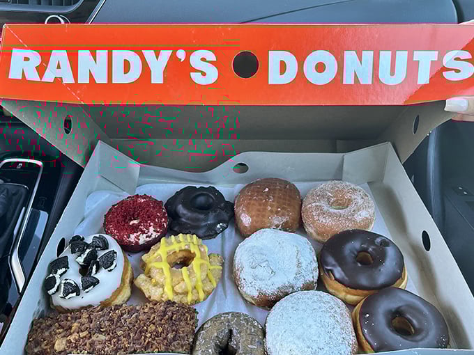 A dozen donuts from Randy's is like assembling the Avengers of breakfast—each one bringing its own superpower to your taste buds.