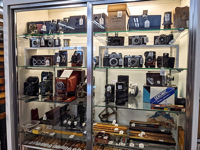 Not just cameras—time machines! This collection of vintage photography equipment would make even the most dedicated Instagram influencer swoon with analog envy.