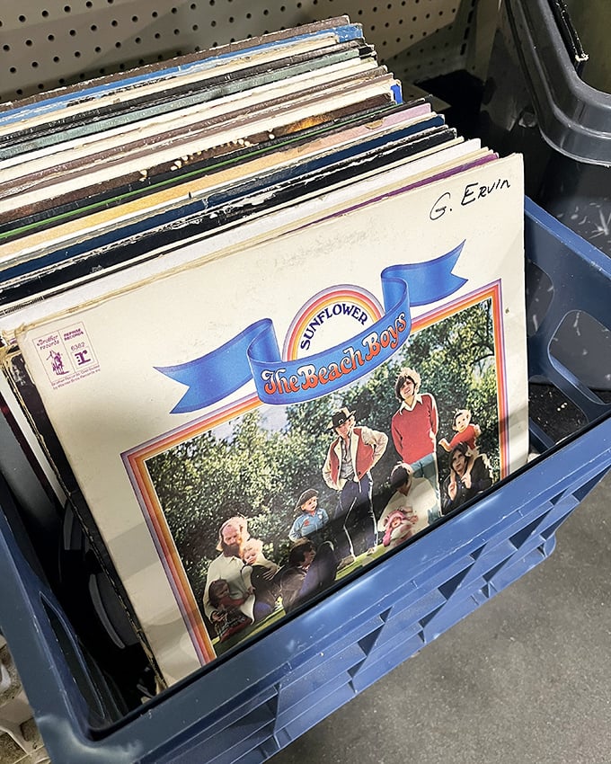 Vinyl enthusiasts, rejoice! The Beach Boys' "Sunflower" album peeks out from a crate of musical history, waiting to spin tales of summers past.