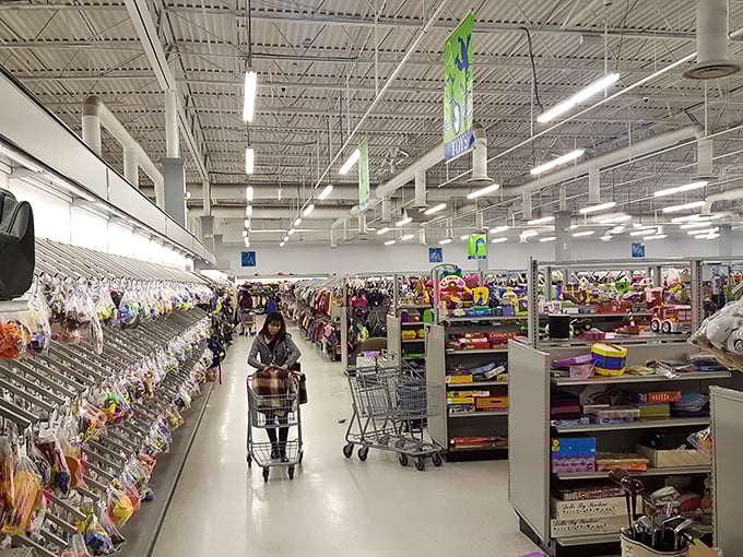 Navigating the aisles requires strategy and stamina. This shopper has wisely deployed a cart—the thrifter's equivalent of an expedition vehicle.