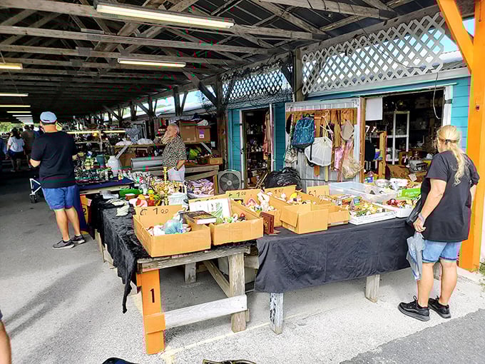 Treasure hunting is a social sport at Webster. Under covered pavilions, shoppers browse through organized chaos, each table a new possibility.