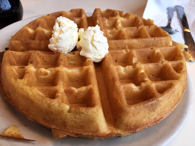 Belgian waffles with perfect grid precision that would make any engineer proud. Those deep pockets? Nature's syrup reservoirs.