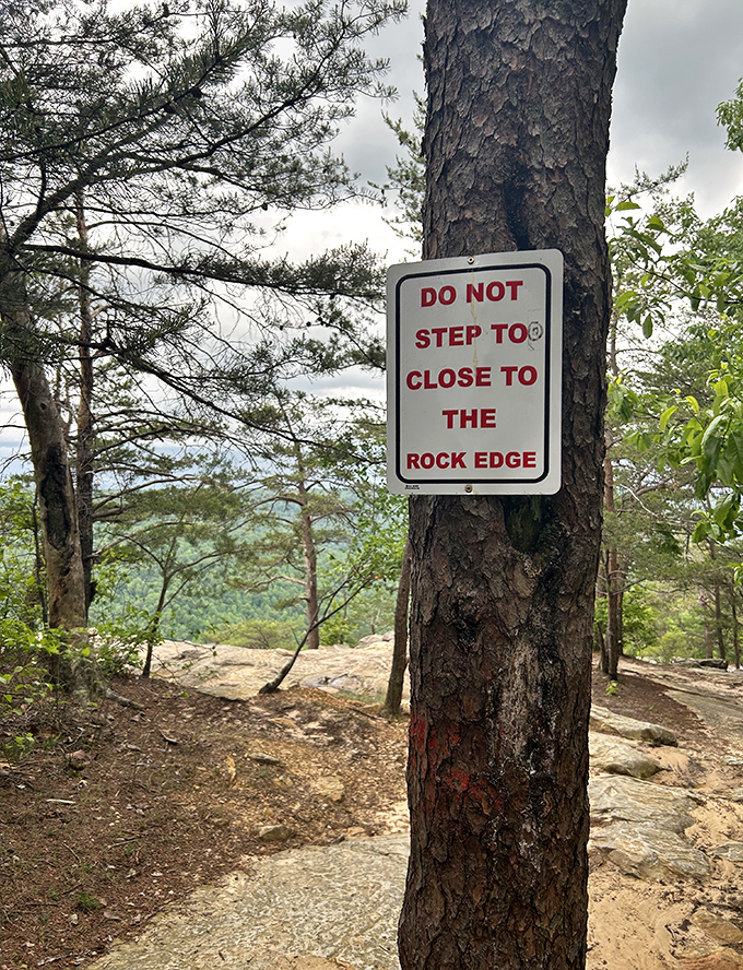 Safety first, selfies second. This warning sign serves as a gentle reminder that Mother Nature doesn't install guardrails.