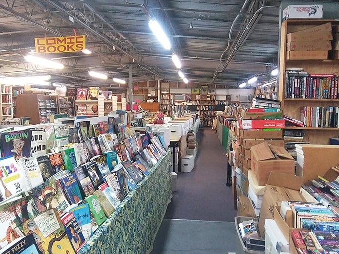 The book section is a bibliophile's dream where dog-eared paperbacks and leather-bound classics wait to tell their stories all over again.