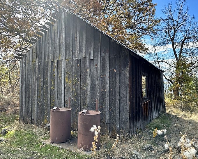 Rustic time capsule standing strong. This weathered cabin has stories to tell about generations who sought solitude in California's northeastern wilderness.