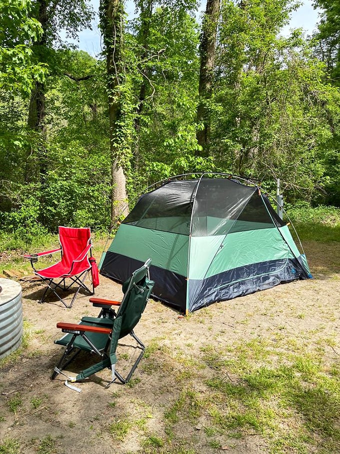 Camping among the trees at Warren Dunes – where your morning coffee comes with a side of birdsong and your evening s'mores taste like childhood memories.
