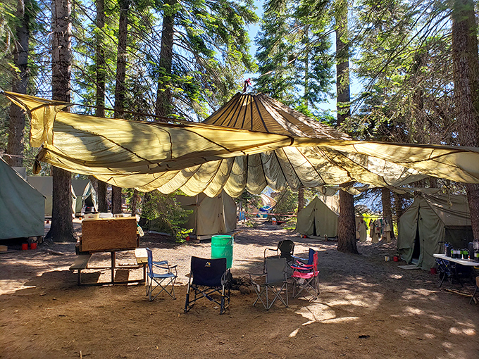 Glamping meets camping in this golden canopy that would make Lawrence of Arabia jealous.