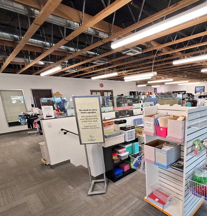 The organized chaos of thrift shopping at its finest—where storage solutions and household items find their second chance.