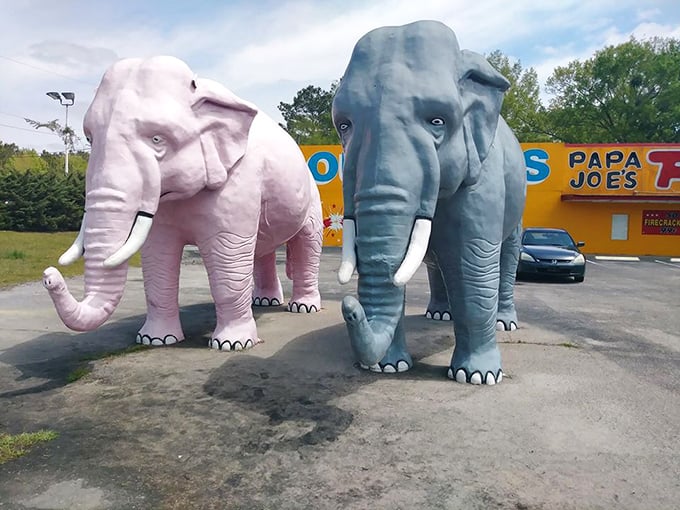 These elephants didn't forget to dress up for their photo op. Pink and gray giants standing sentinel in a parking lot – just another normal day in Bolton.
