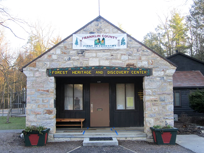 The Forest Heritage and Discovery Center stands like a stone sentinel guarding Pennsylvania's woodland secrets. Tree knowledge without the splinters!