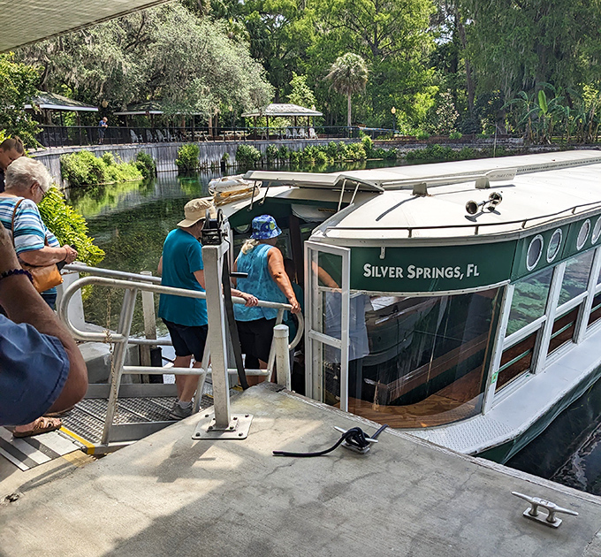 All aboard the original "underwater Instagram" – these glass-bottom boats have been wowing visitors since before filters were even a thing.