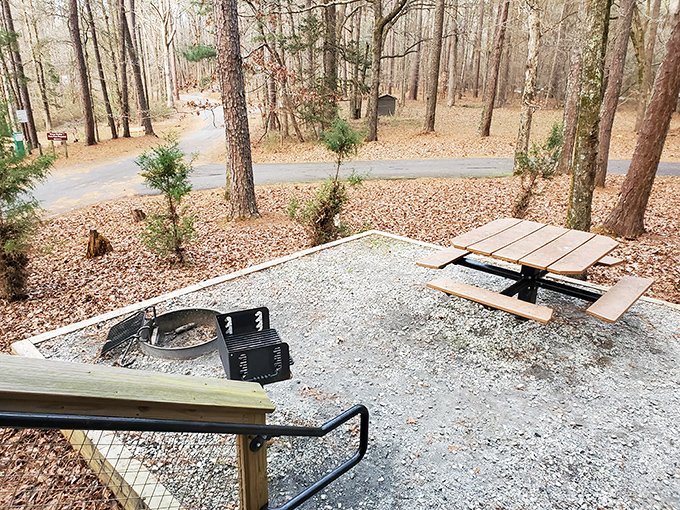 Every great outdoor story begins or ends at a spot like this—a simple picnic table and fire ring that somehow produces meals that taste better than five-star restaurants.