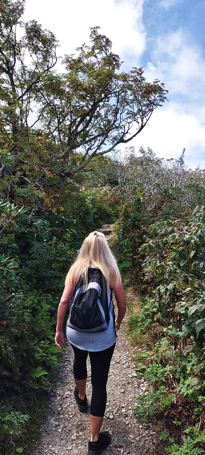 A narrow trail winds through thick mountain foliage, urging you onward with the quiet promise of a view just out of sight.