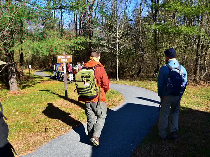 Trout Run Trail beckons hikers with its siren song of adventure. The only traffic jam you'll encounter here involves deciding which natural wonder to photograph first.
