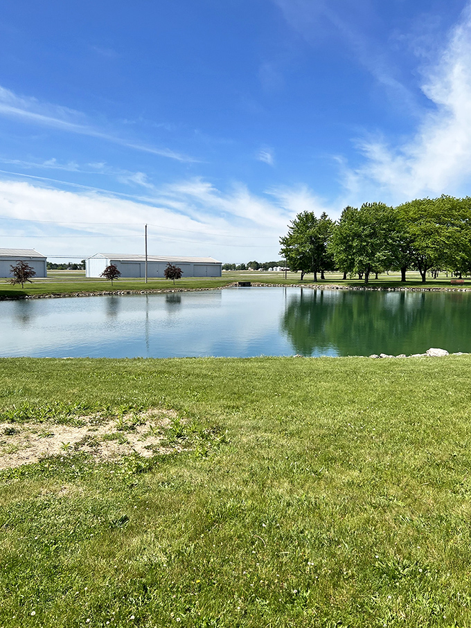 Nature's perfect mirror – this serene pond reflects the big Ohio sky with such clarity you might accidentally walk into it like a cartoon character.