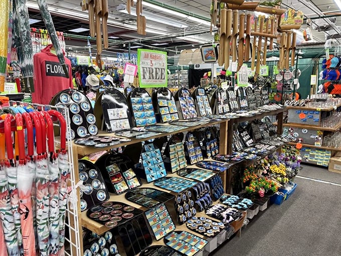 Florida souvenirs that actually tell the truth about your vacation—unlike those "I caught a fish THIS big" stories you'll tell back home.