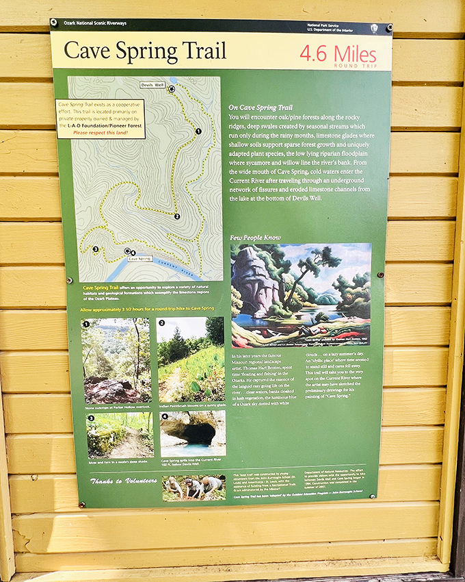 The treasure map to Missouri's subterranean wonders. This trail guide reveals how Devil's Well connects to Cave Spring through limestone channels carved over millennia.