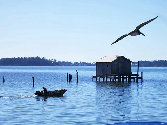 A solitary fisherman navigates calm waters as a pelican soars overhead. Some scenes in Cortez haven't changed in a century—and thank goodness for that.
