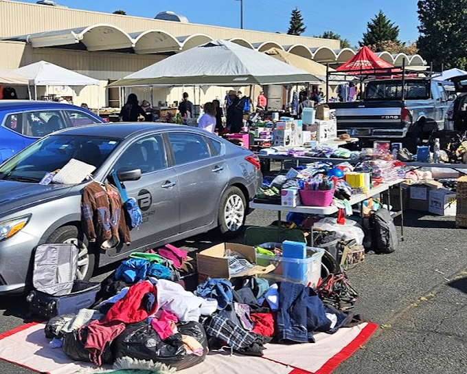 Parking lot alchemy—where ordinary objects transform into must-have treasures. Every pile contains something someone has been searching for.