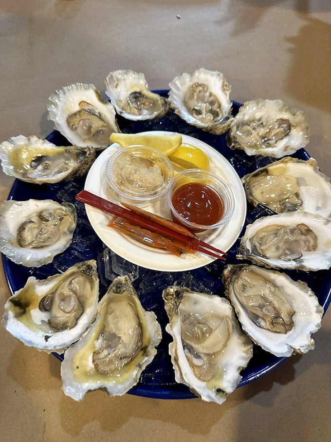 These oysters aren't just served; they're presented—a dozen glistening gems arranged in a perfect circle, awaiting their lemon and cocktail sauce companions.
