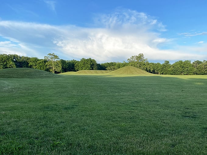 Ancient earthworks that predate Columbus by millennia – standing here connects you to people who understood astronomy before telescopes existed.
