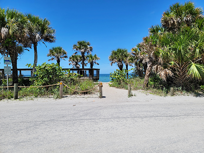 The pathway to tranquility beckons through a corridor of palms and sea grapes, nature's own red carpet to the Gulf's edge.