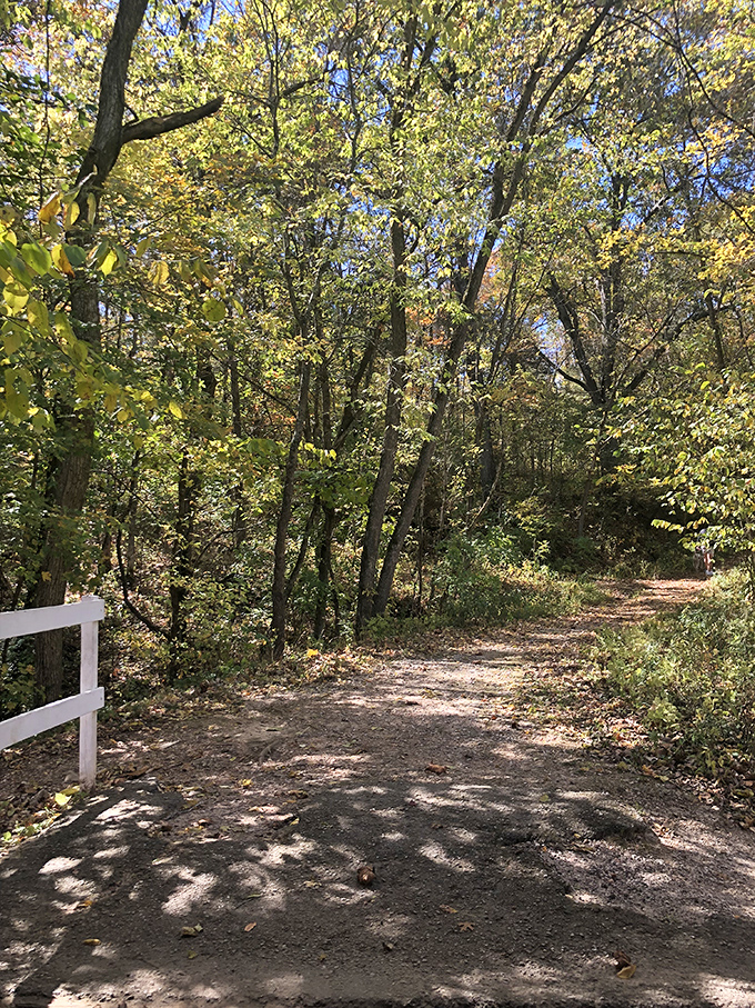Dappled sunlight filters through autumn leaves along the trail, creating nature's own stained-glass effect on this peaceful approach to the bridge.