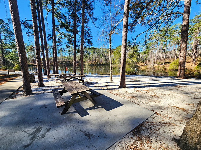 Nature's dining room awaits – this lakeside picnic spot offers the kind of tranquility you can't find at even the most exclusive restaurants.