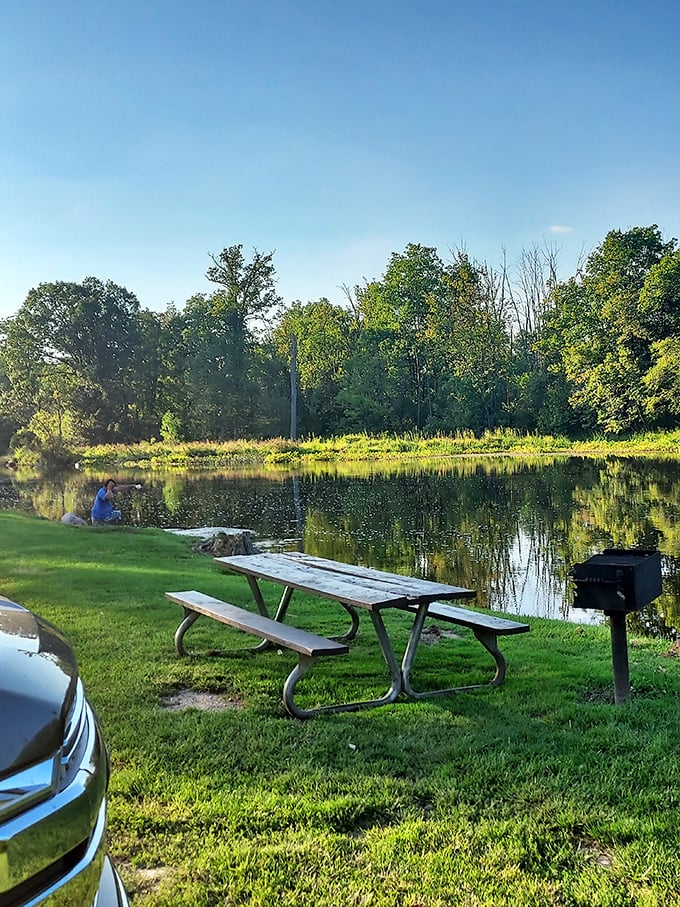Picnic paradise found! This riverside spot offers front-row seats to nature's show, complete with water views and the peaceful soundtrack of the Flat River.