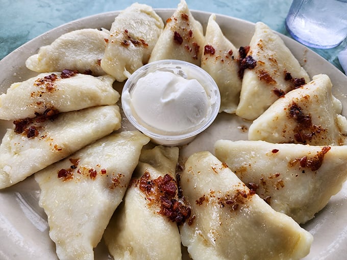 Pierogi perfection in its natural habitat—golden-brown pockets of joy arranged in a circle, as if performing a delicious Polish ballet around that sour cream.