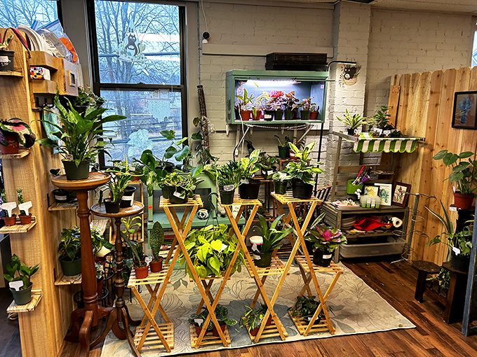 Not just plants, but a jungle of greenery displayed on vintage stands—bringing the outdoors in has never looked so nostalgic.