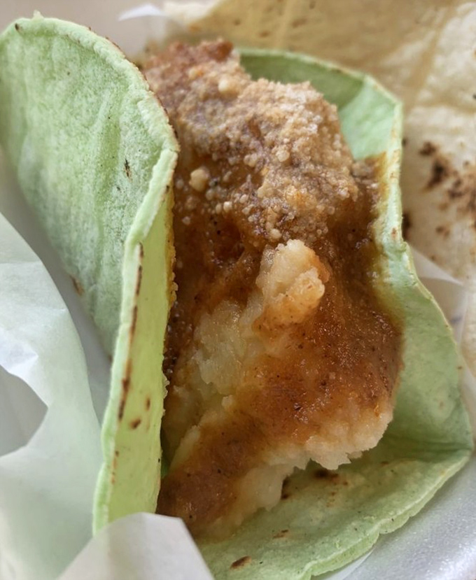 The green tortilla cradles that perfectly fried fish like it's been waiting its whole life for this moment. A simple pleasure that's anything but simple to perfect.