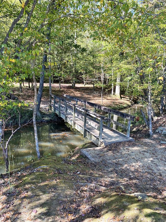This charming wooden bridge isn't just crossing a stream—it's crossing from your everyday world into a storybook woodland escape.