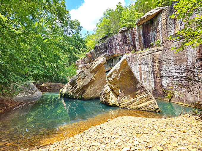 Bell Smith Springs' crystal waters reflect millions of years of patient erosion. Mother Nature's infinity pool didn't need an architect or construction permit.