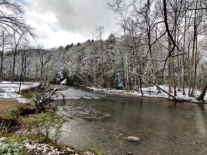 Winter transforms Mohican's riverscape into a hushed wonderland where bare branches and snow-dusted banks frame the still-flowing waters.