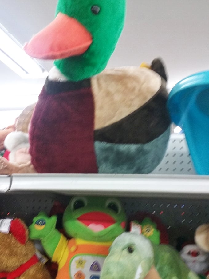 Stuffed animal paradise! That mallard might have once graced someone's lake house before landing here, ready for its second home.