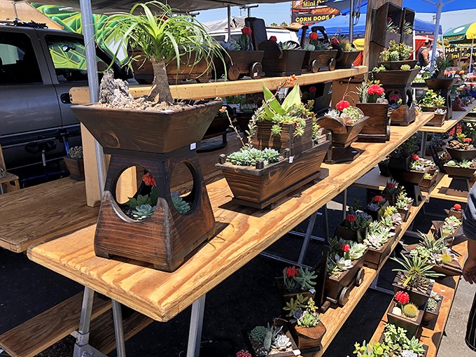 These aren't your grandmother's houseplants—unless your grandmother was secretly a desert-dwelling succulent wizard with impeccable taste.