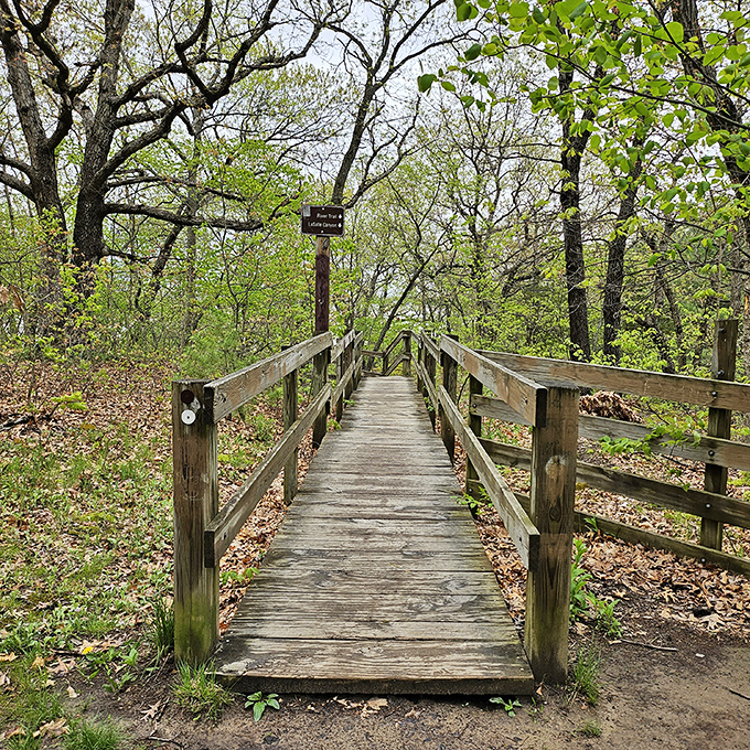 That wooden footbridge isn't just functional – it's the dividing line between your everyday world and the natural paradise waiting on the other side.