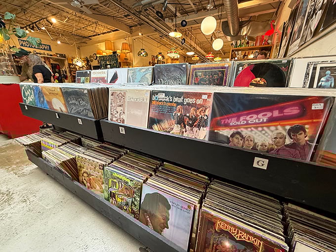 Vinyl junkies, prepare to lose track of time. These album covers aren't just music—they're the soundtrack to entire decades of American life.