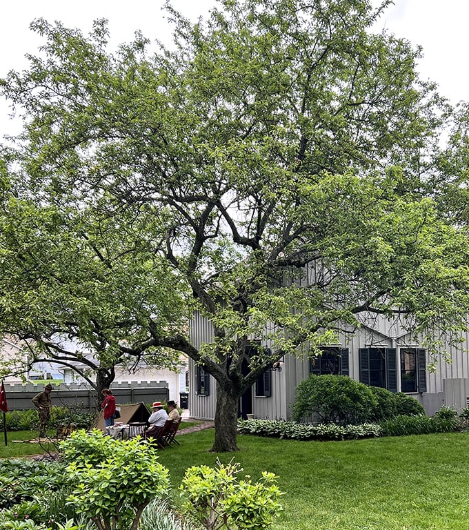 Under the shade of century-old trees, visitors experience the Castle's grounds as Victorians once did—minus the corsets and top hats.